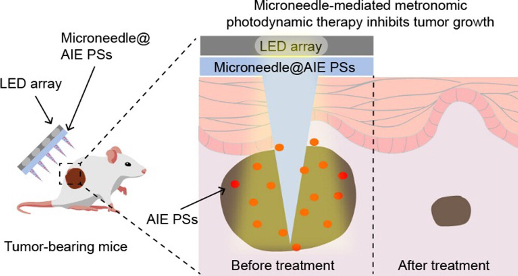 娄筱叮 中文主页 已发表论文成果 中国地质大学（武汉）教师个人主页系统