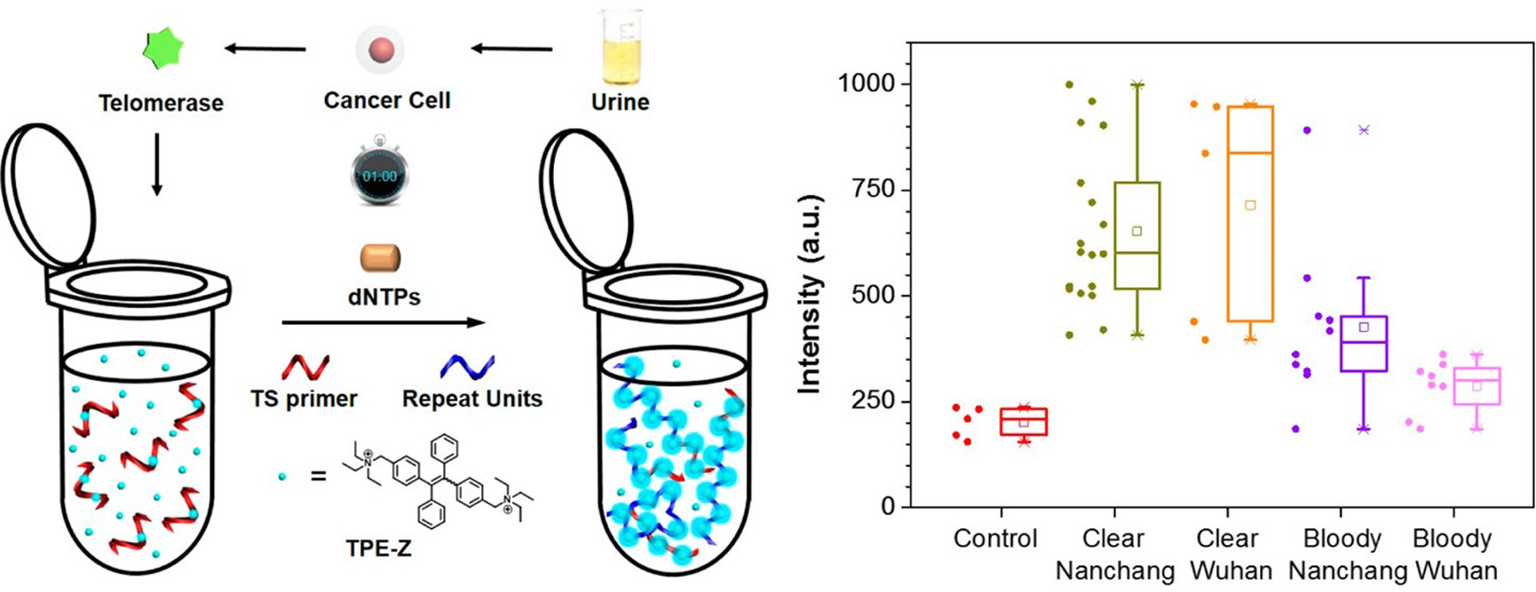 娄筱叮 中文主页 科学研究 中国地质大学（武汉）教师个人主页系统