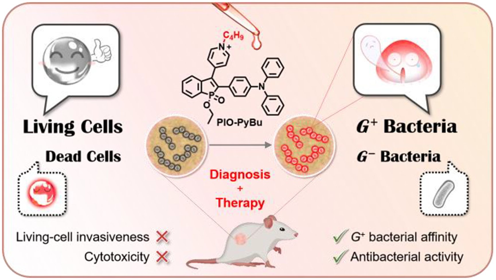 娄筱叮 中文主页 科学研究 中国地质大学（武汉）教师个人主页系统