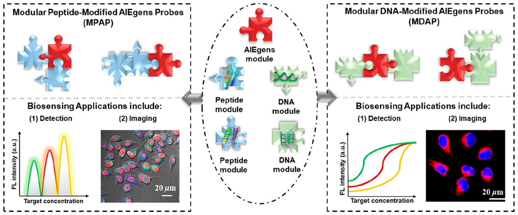 娄筱叮 中文主页 科学研究 中国地质大学（武汉）教师个人主页系统